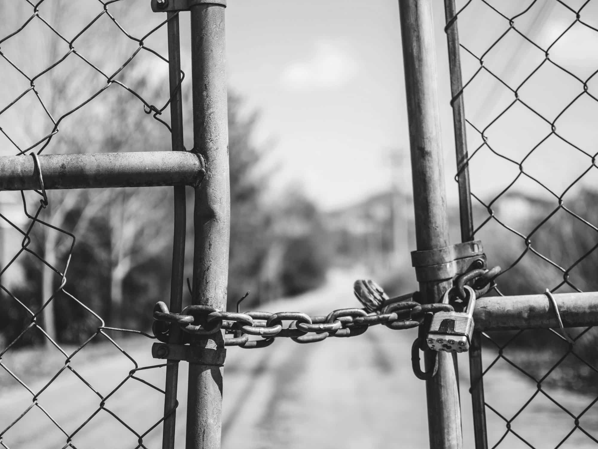 How to Foster Creativity in Your Workplace - DANE MCFARLANE